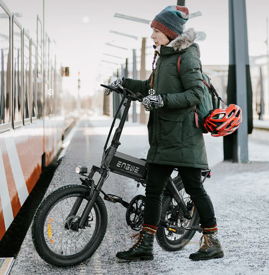 Engwe C20 Pro Folding Electric Bike – Electroheads