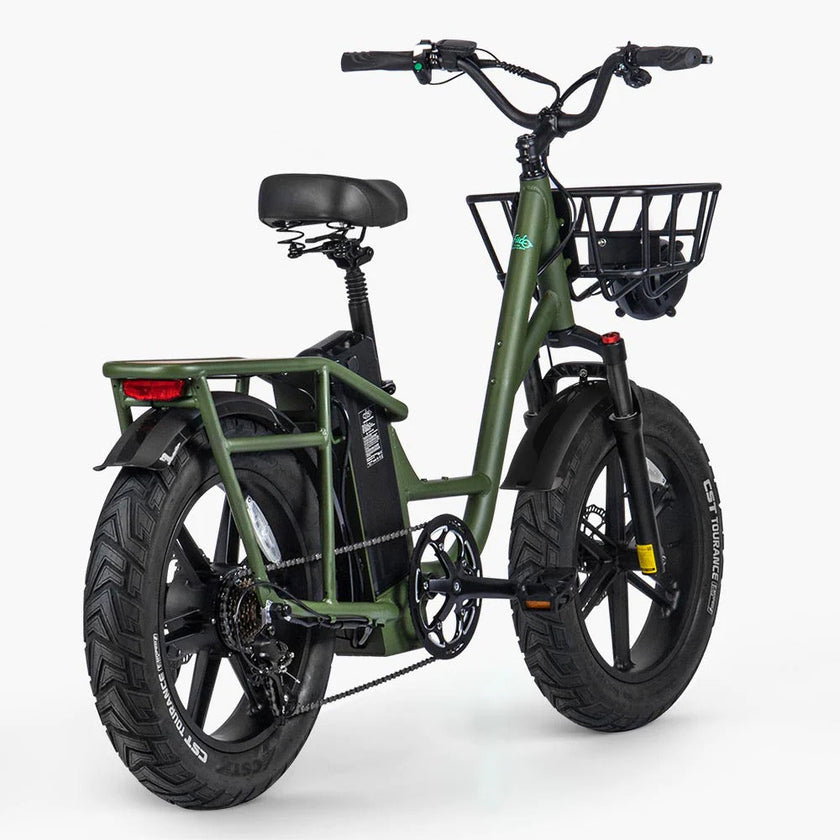 Buy the Fiido T1 Pro Utility Electric Bike | Electroheads.com