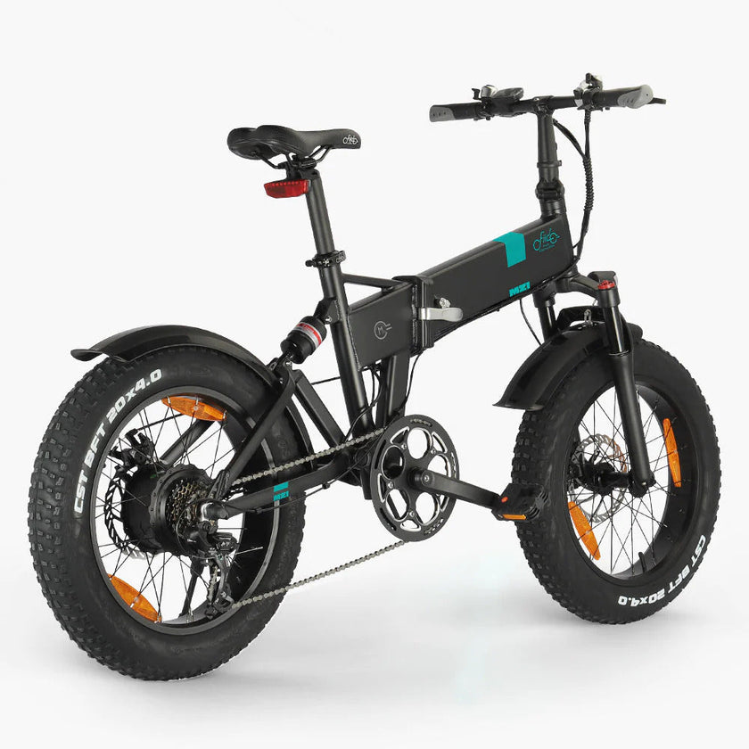 Fiido M21 Fat Tyre Electric Bike With Torque Sensor – Electroheads ...