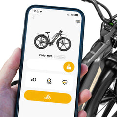 Buy the Fiido Titan Robust Cargo Electric Bike | Electroheads.com ...