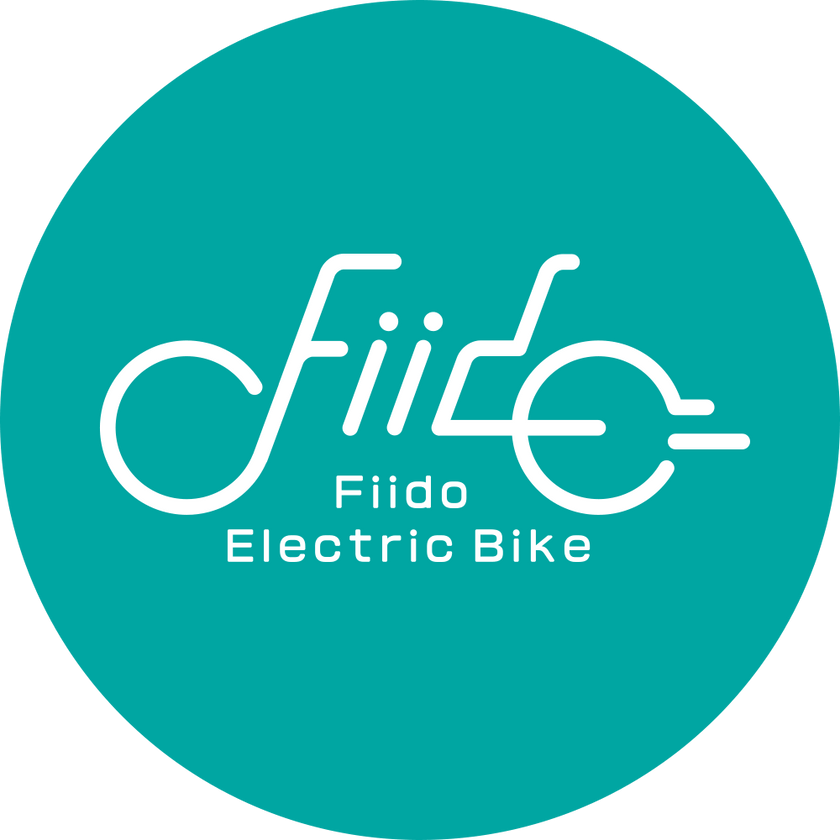 Buy the Fiido D3 Pro Mini Electric Bike | Electroheads.com ...