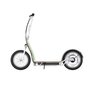 Buy the Razor EcoSmart SUP - Best Electric Scooters | Electroheads.com ...